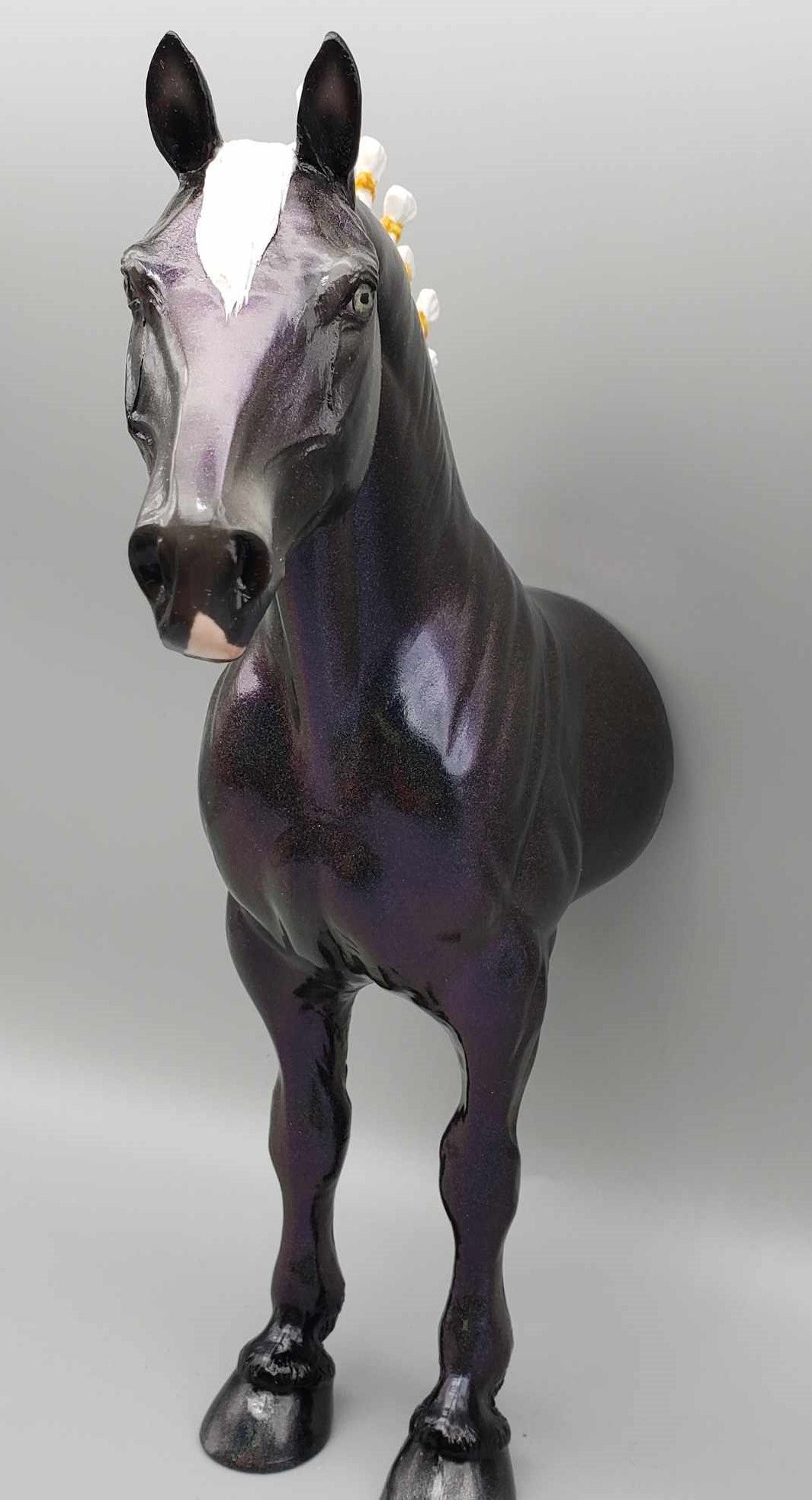 Half A Chance | StoneHorseRef